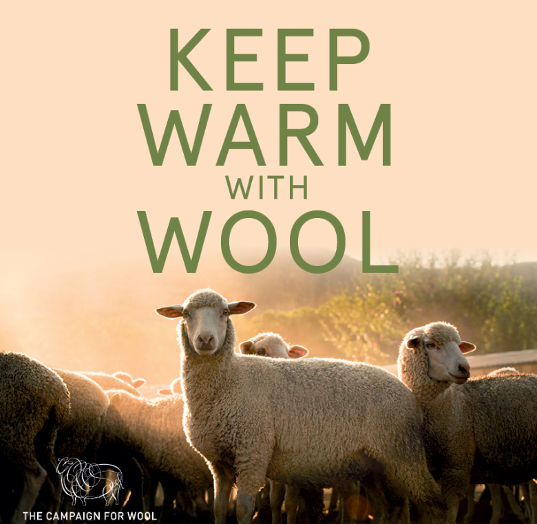 Why Wool? and how to care for it – Aubin